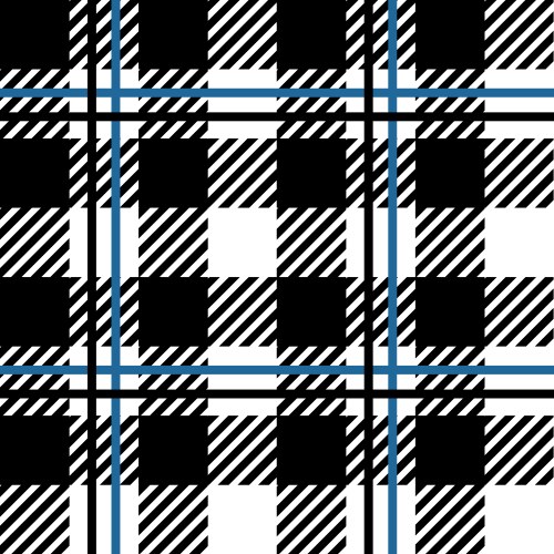 Geometric plaid line black and white minimalistic Vector Image