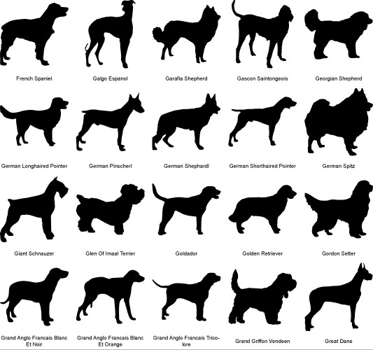 Set of dog breeds silhouettes bundle collection Vector Image