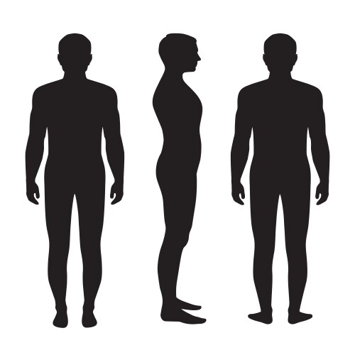 Human Body Side View Vector Images (over 2,400)