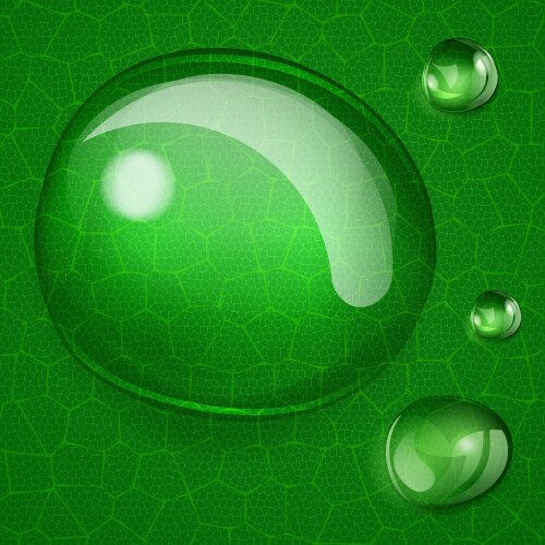 Big Small Vector Images (over 21,000)