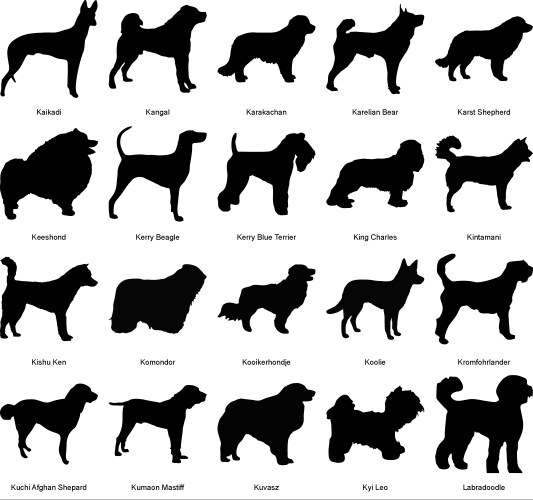 Set of dog breeds silhouettes bundle collection Vector Image