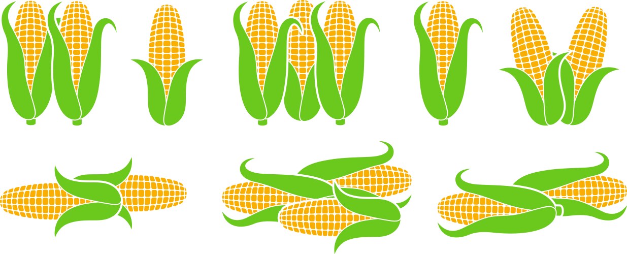 Corn Royalty Free Vector Image - VectorStock