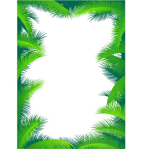 Border with green palm tree leaves Royalty Free Vector Image
