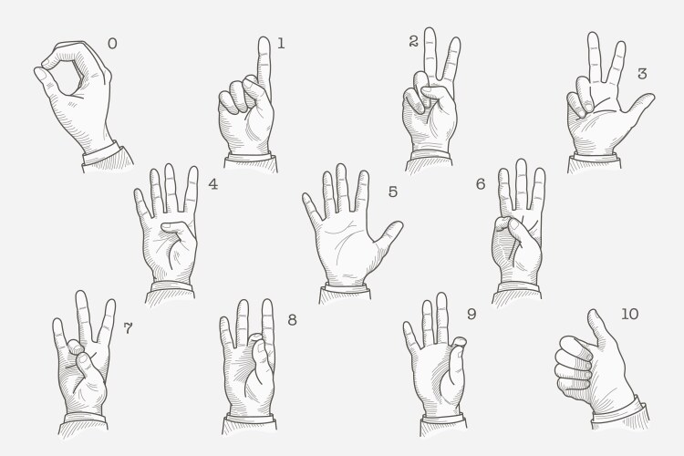 Language of deaf-mutes hand american sign Vector Image