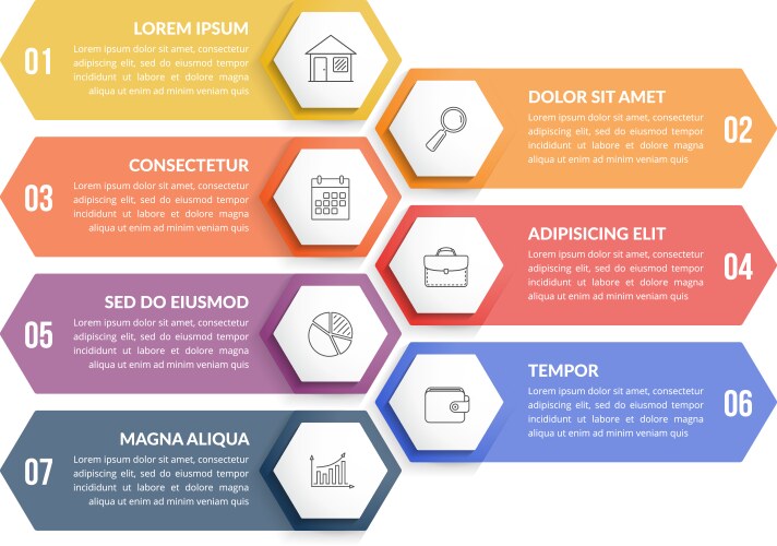 7 steps infographics Royalty Free Vector Image