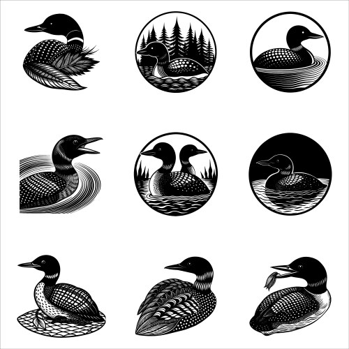 Loon Vector Images & Graphics for Commercial Use | VectorStock