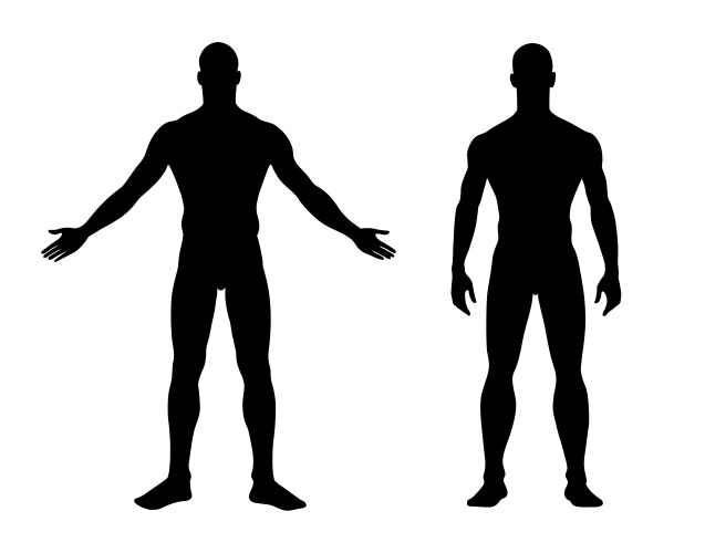 Human Body Outline Clipart Human Body Outline Vector Art, Icons, And