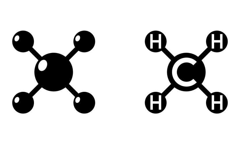 Photosynthesis icon Royalty Free Vector Image - VectorStock