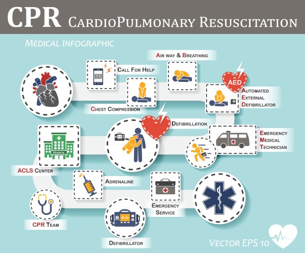 Cpr cardiopulmonary resuscitation Royalty Free Vector Image