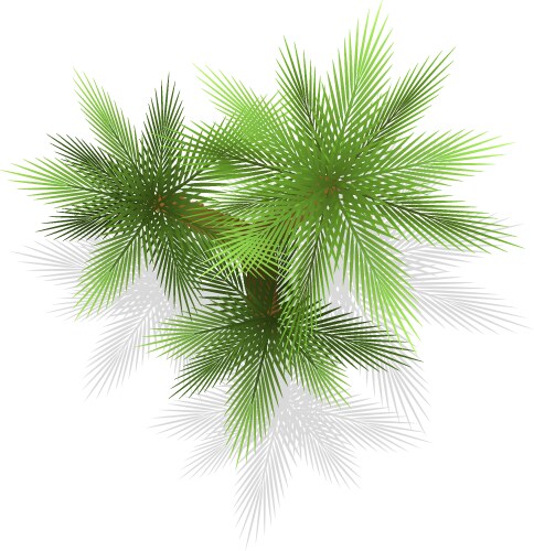 Bushes Plan View Vector Images (over 590)