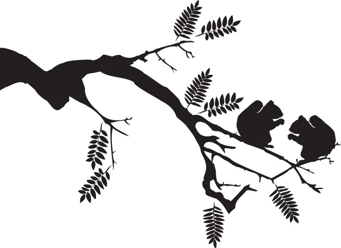 Squirrel Vector Images (over 24,000)