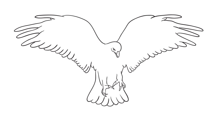Eagle Line Art Vector Images (over 11,000)