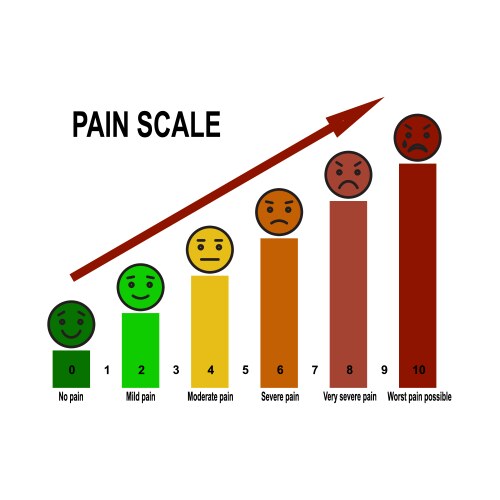 Pain scale chart vertical Royalty Free Vector Image