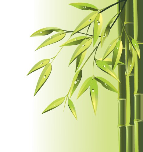 Bamboo in chinese style Royalty Free Vector Image