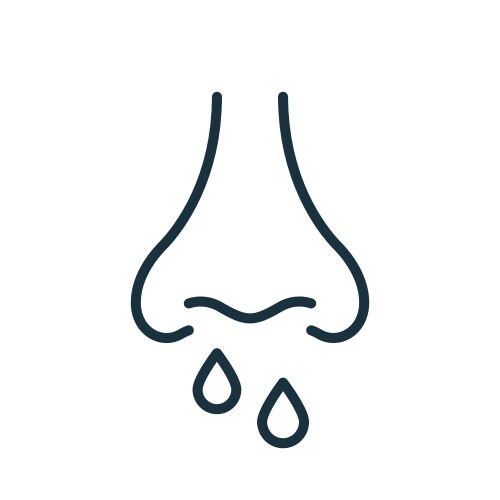 Runny nose icon with nasal mucus discharge Vector Image