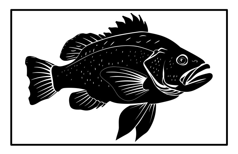 Grouper fish logo template silhouette Royalty Free Vector