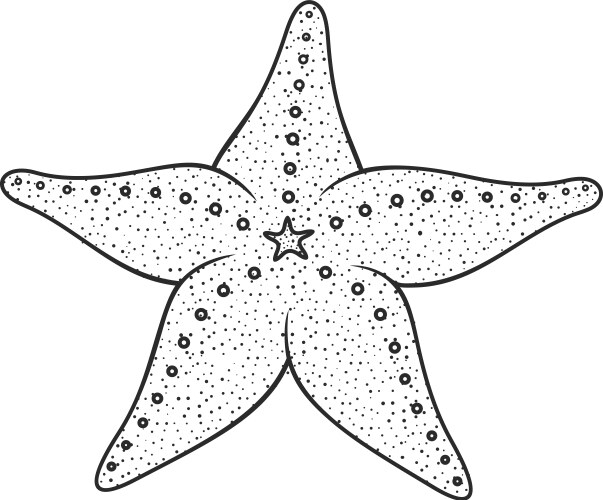 Outline Starfish Vector Images (over 5,500)