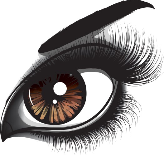 Beautiful lady eye sketch Royalty Free Vector Image