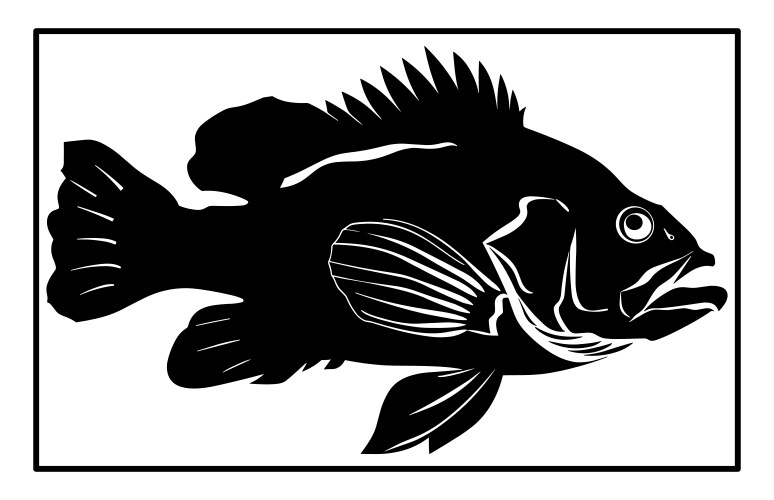 Grouper fish logo template silhouette Royalty Free Vector