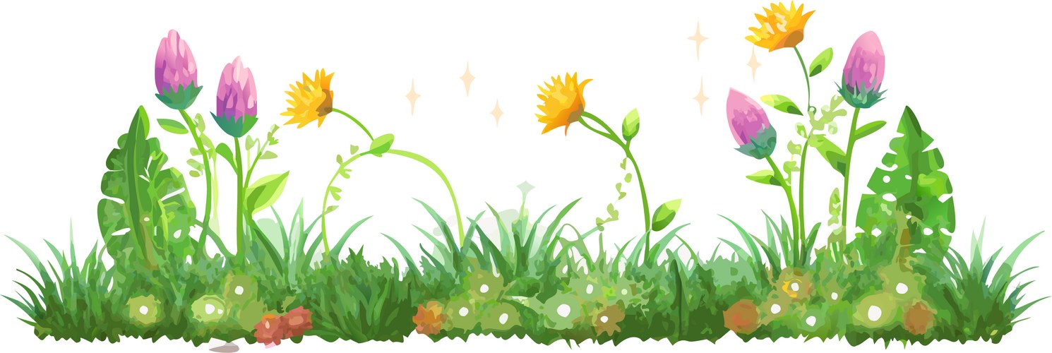 Colorful watercolor wildflower border – Royalty-Free Vector | VectorStock