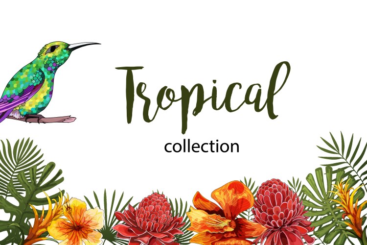 Hummingbird Border Vector Images (over 140)