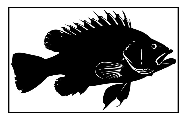 Grouper fish logo template silhouette Royalty Free Vector