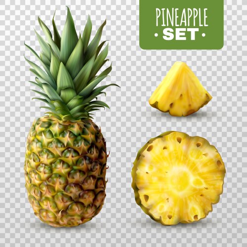 Pineapple Vector Images (over 56,000)