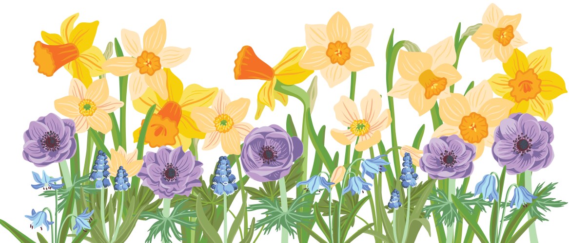 Drawing spring flowers Royalty Free Vector Image