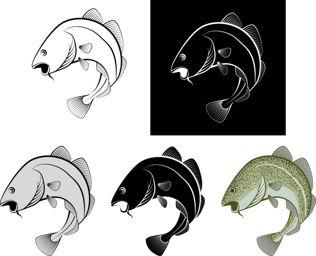 Cod black and white Royalty Free Vector Image - VectorStock