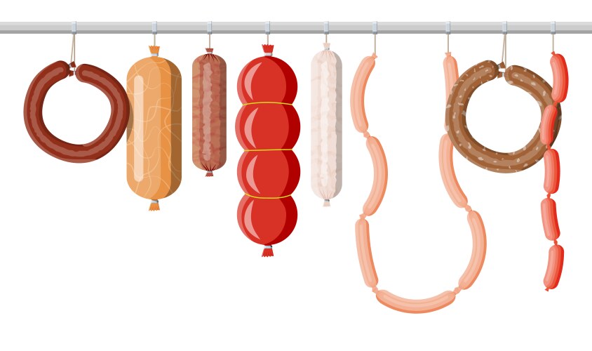 Meat sausage slice set Royalty Free Vector Image