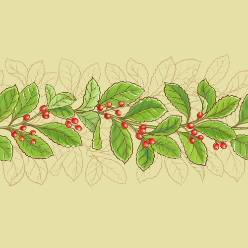 Yerba mate frame Royalty Free Vector Image - VectorStock