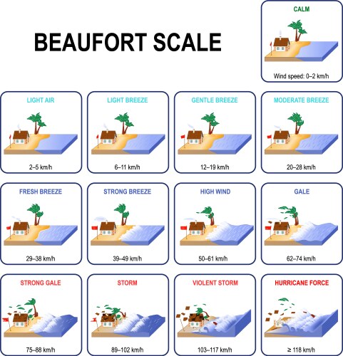 Archimedes principle gravity and buoyant force Vector Image