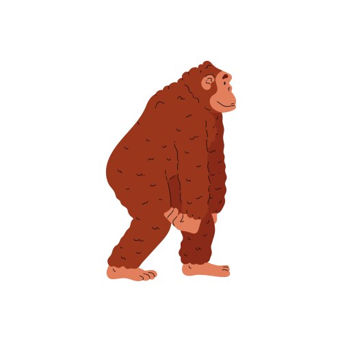 Australopithecus Vector Images (over 250)