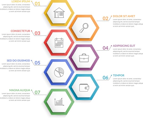 7 steps infographics Royalty Free Vector Image