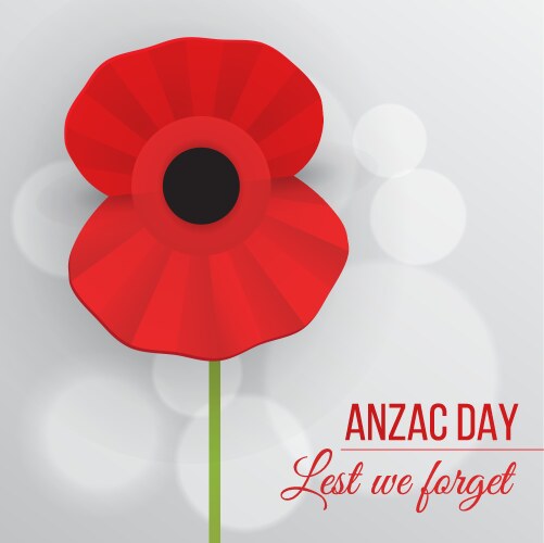 Remembrance anzac day web header poppies flowers Vector Image