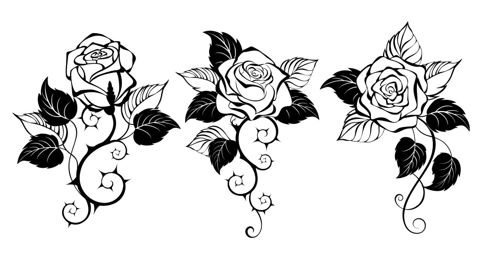 Three red roses for tattoo Royalty Free Vector Image