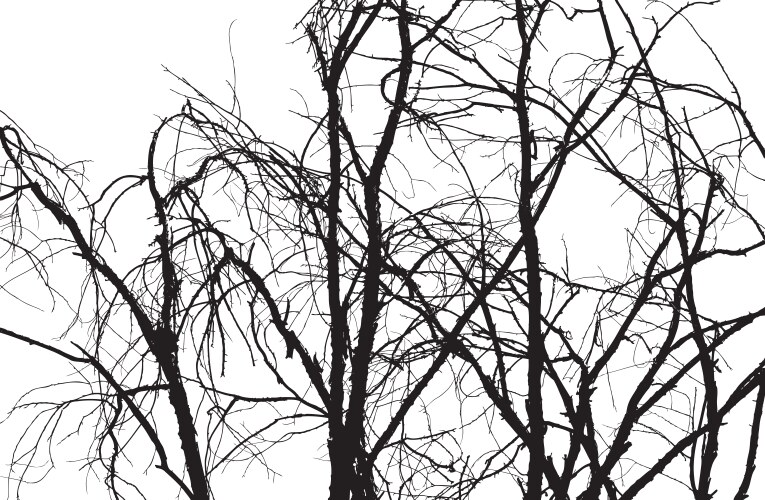 Tree Background Vector Images (over 760,000)