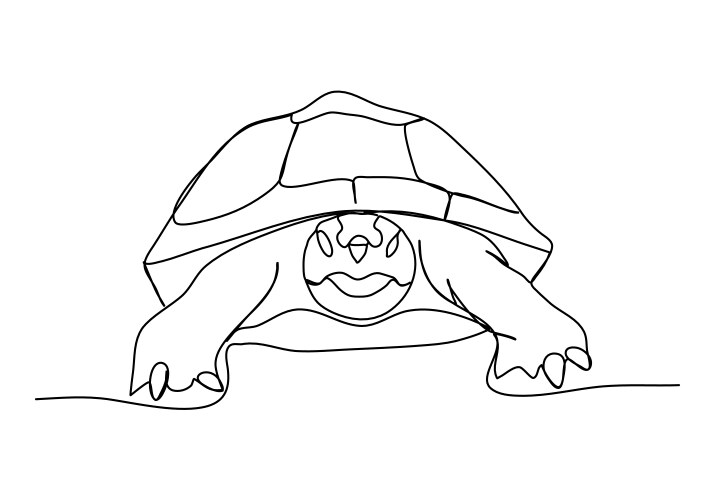 One Line Turtle Vector Images (over 200)