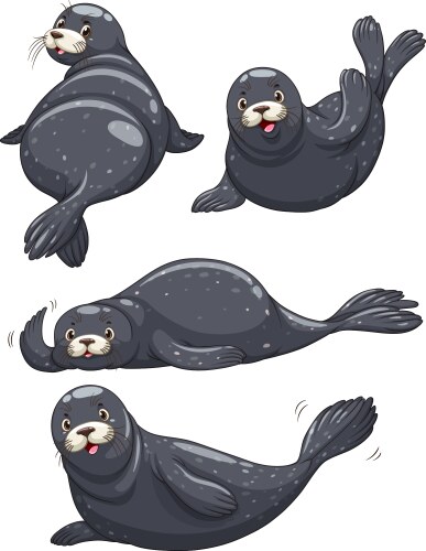 Cartoon Seals Vector Images (over 18,000)