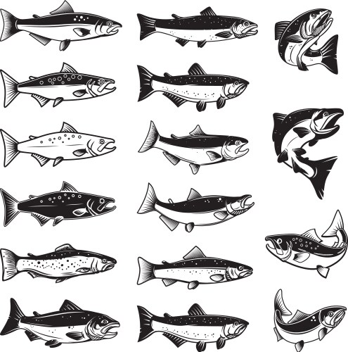Fish set Royalty Free Vector Image - VectorStock