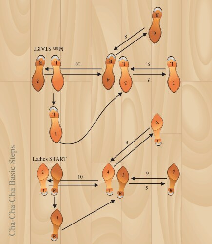 Rumba basic steps Royalty Free Vector Image - VectorStock