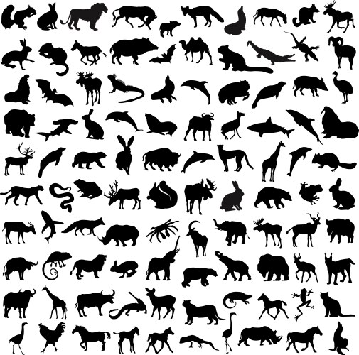 Lion and rhinoceros silhouettes Royalty Free Vector Image