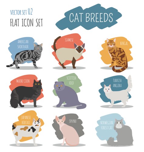 Cat breeds icon set flat style Royalty Free Vector Image