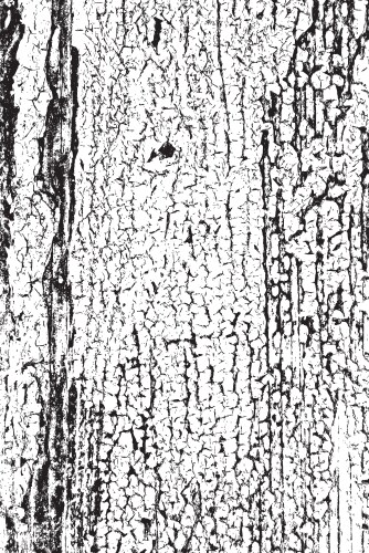 Whitewash texture overlay Royalty Free Vector Image