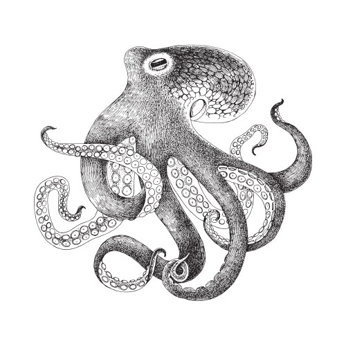 Octopus Hand Vector Images (over 5,700)