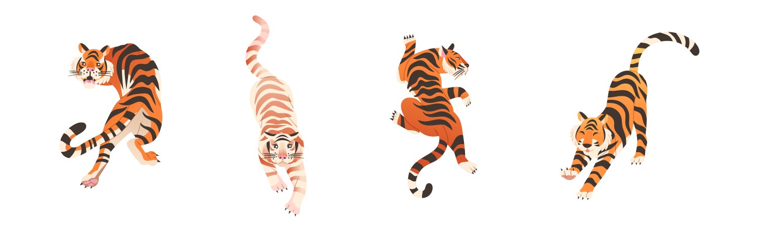 Tiger predator jungle animal with striped coat Vector Image