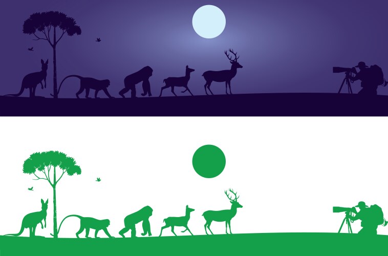 Wall Silhouette Vector Images (over 59,000)