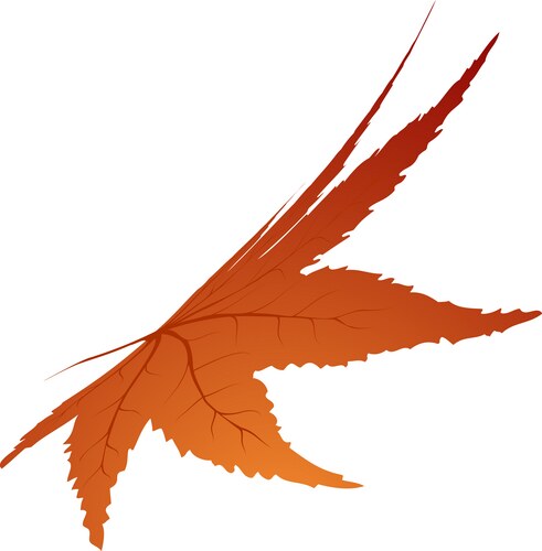 Maple autumn leaf Royalty Free Vector Image - VectorStock