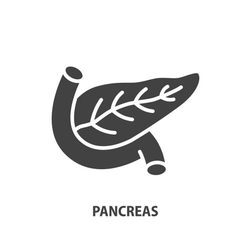 Pancreas Vector Images (over 6,200)