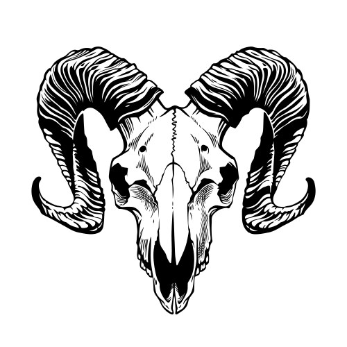 Goat Skull Vector Images (over 1,800)
